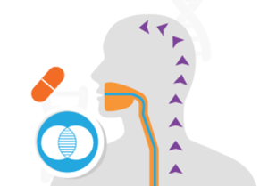 How Do Antidepressants Work? | GeneSight