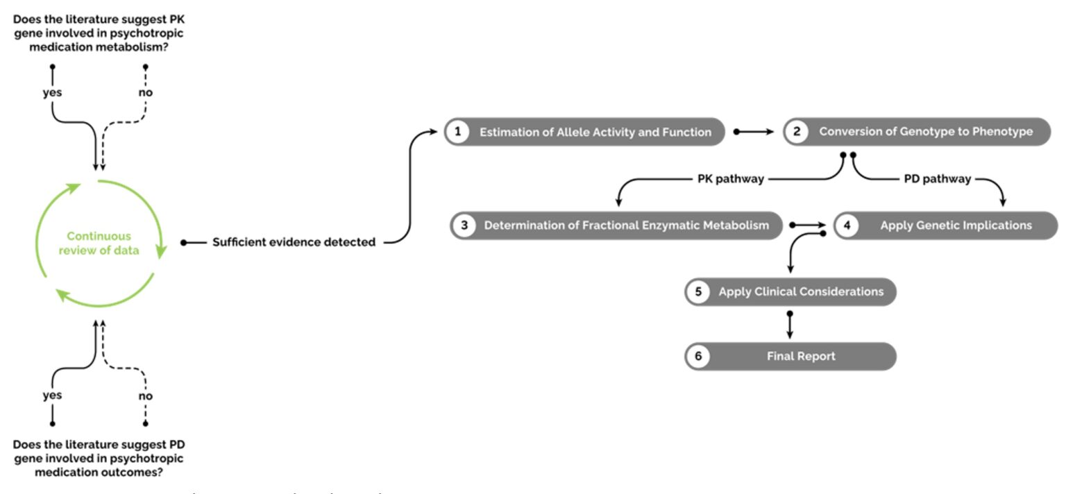 Understanding the GeneSight test algorithm | GeneSight