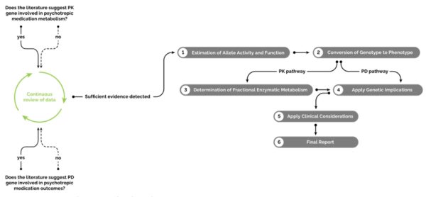 Understanding the GeneSight test algorithm | GeneSight
