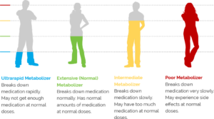 Interpreting the GeneSight® Psychotropic Report | GeneSight