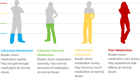 Interpreting the GeneSight® Psychotropic Report | GeneSight