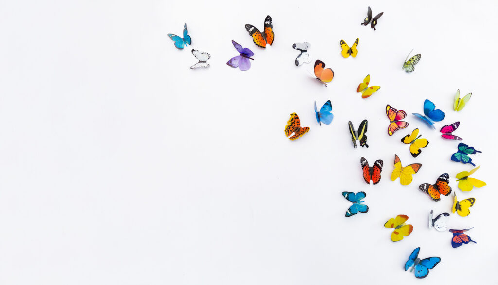 The Butterfly Effect: Can Small Habits Impact Overall Mental Health ...